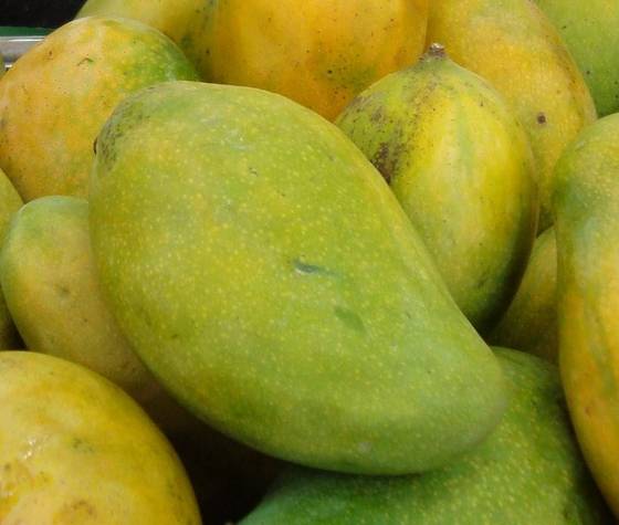 Varieties of Mangoes – On the trail of the Indian Mango | IMVoyager
