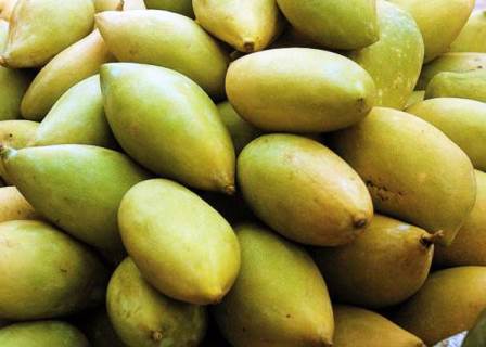 Varieties of Mangoes – On the trail of the Indian Mango | IMVoyager