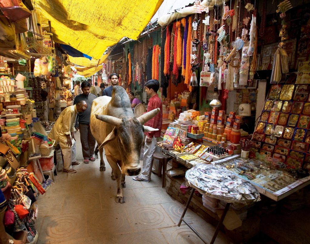 A spiritual experience in The City of Light, Varanasi