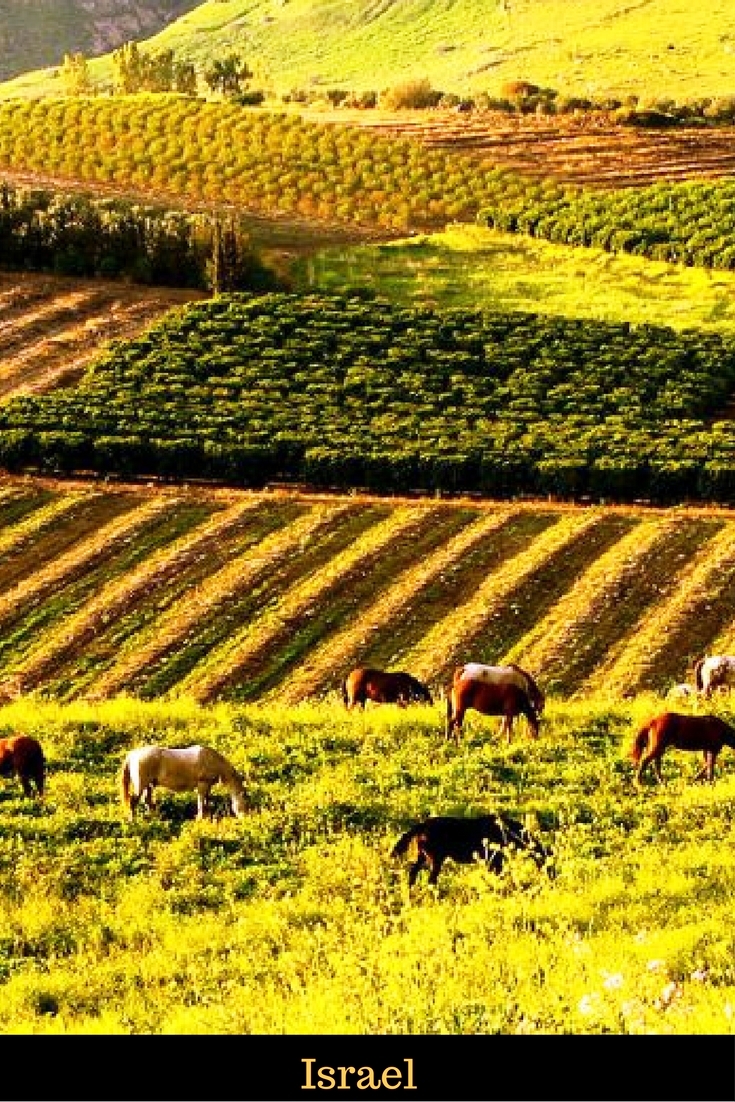 Top Reasons Why You Should Visit Israel - Voyager