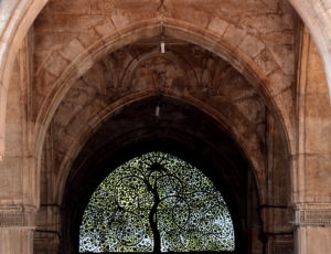 Sidi Saiyyed Mosque in Ahmedabad, India - Sidi Saiyyid ki Jaali