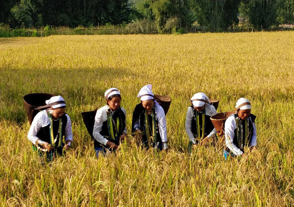 BASCON Festival at Basar, Arunachal Pradesh, India | Travel Insights ...