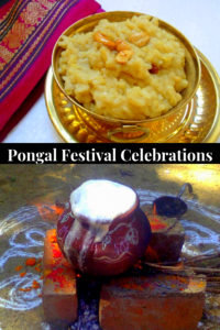 Pongal Festival - A Celebration Of The Harvest | Travel Insights ...