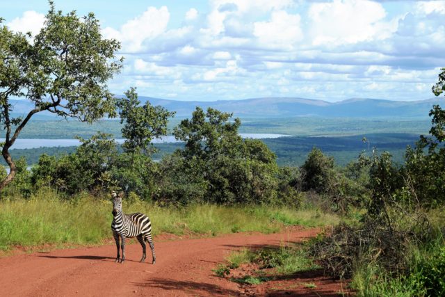 Connecting With Nature In Rwanda, Africa | Travel Insights | Voyager ...