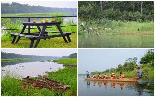 Enchanting Chitwan Jungle Safari | All About Chitwan National Park ...
