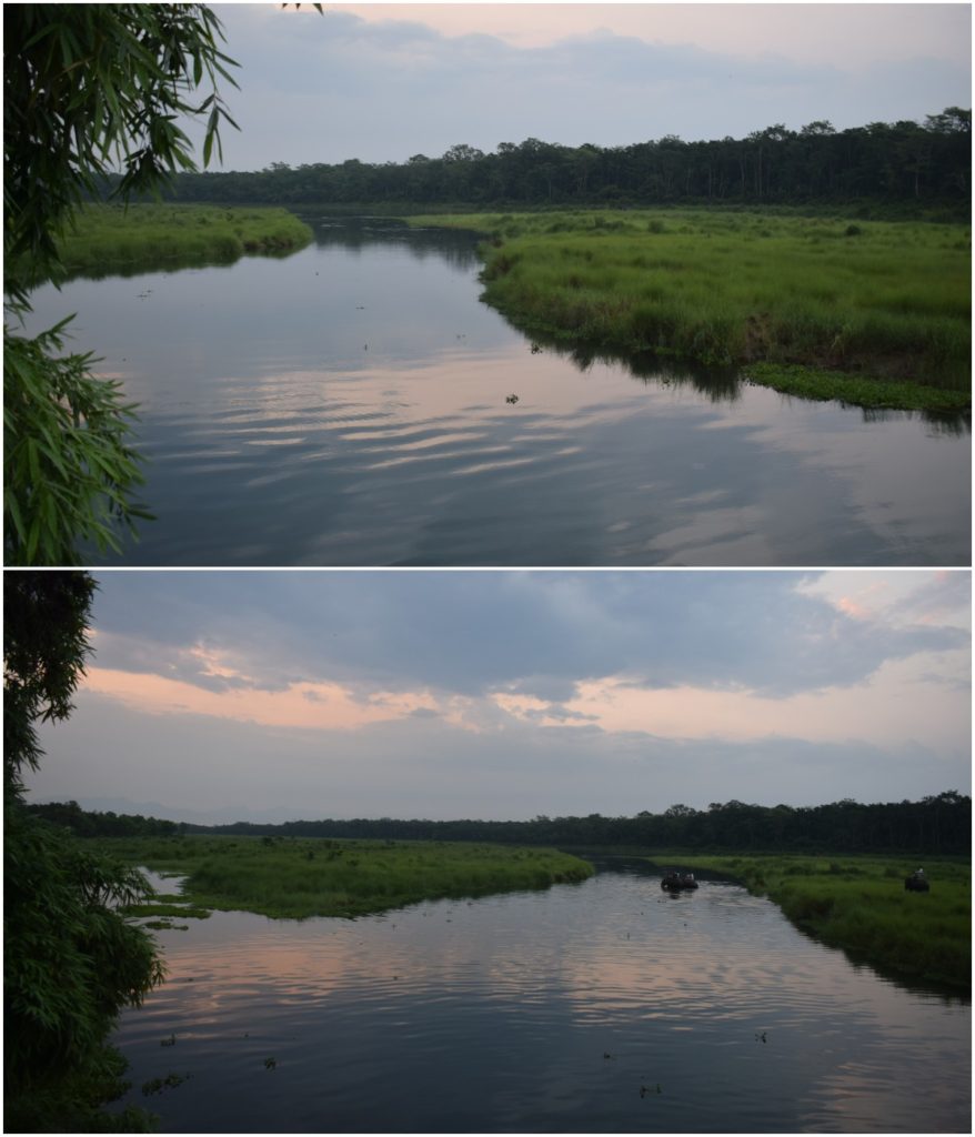 Enchanting Chitwan Jungle Safari | All About Chitwan National Park ...