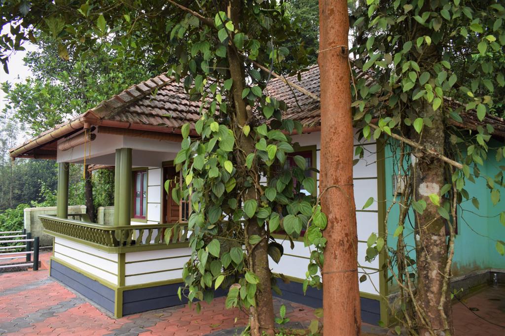 Places to Visit in Wayanad in 2 Days - Wayanad Trip | IMVoyager