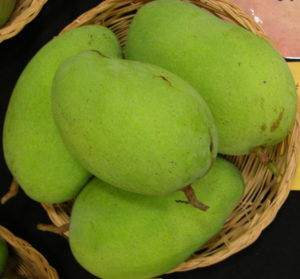 Indian Mangoes - Chasing Indian Mangoes | Travel Insights | Voyager ...