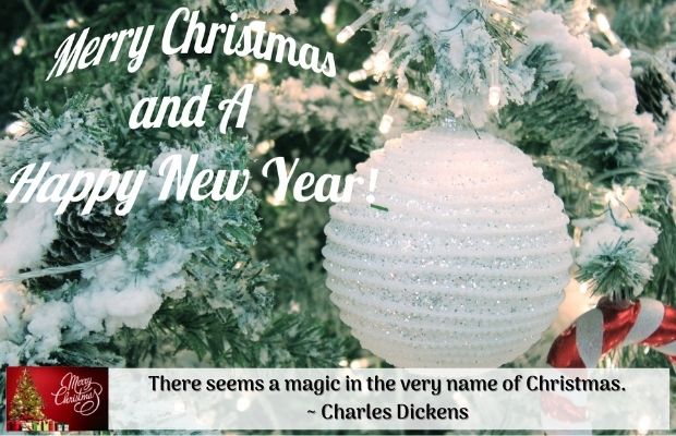 55+ Best Instagram Captions For Christmas | Quotes, Greetings