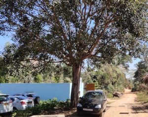 Hutridurga Trek - Uttari Betta Trekking