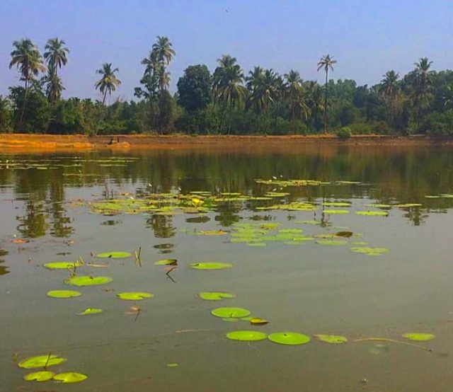 Serene Varanga Jain Temple - Varanga Kere Basadi Near Udupi