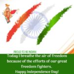 50 Best Independence Day Captions For Instagram And Quotes