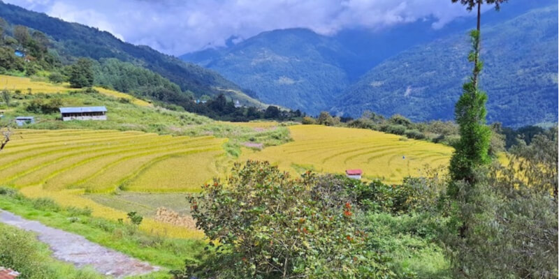 4 Day Tawang Itinerary - Best Of Tawang, Arunachal Pradesh