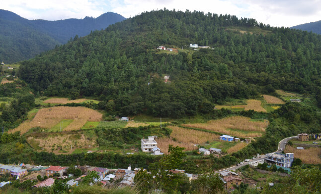 14 Best Places To Visit In Dirang Arunachal Pradesh