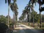 20 Best Places To Visit In Ayodhya Including Ram Mandir
