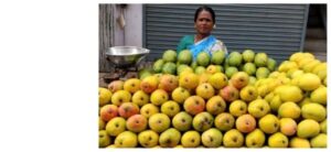 Incredible Mango Quiz With Answers - 51 Questions On Mango