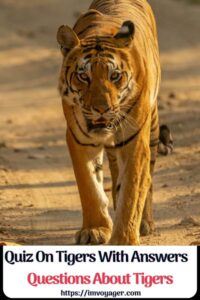 Quiz On Tigers With Answers - 105 Incredible Questions About Tigers